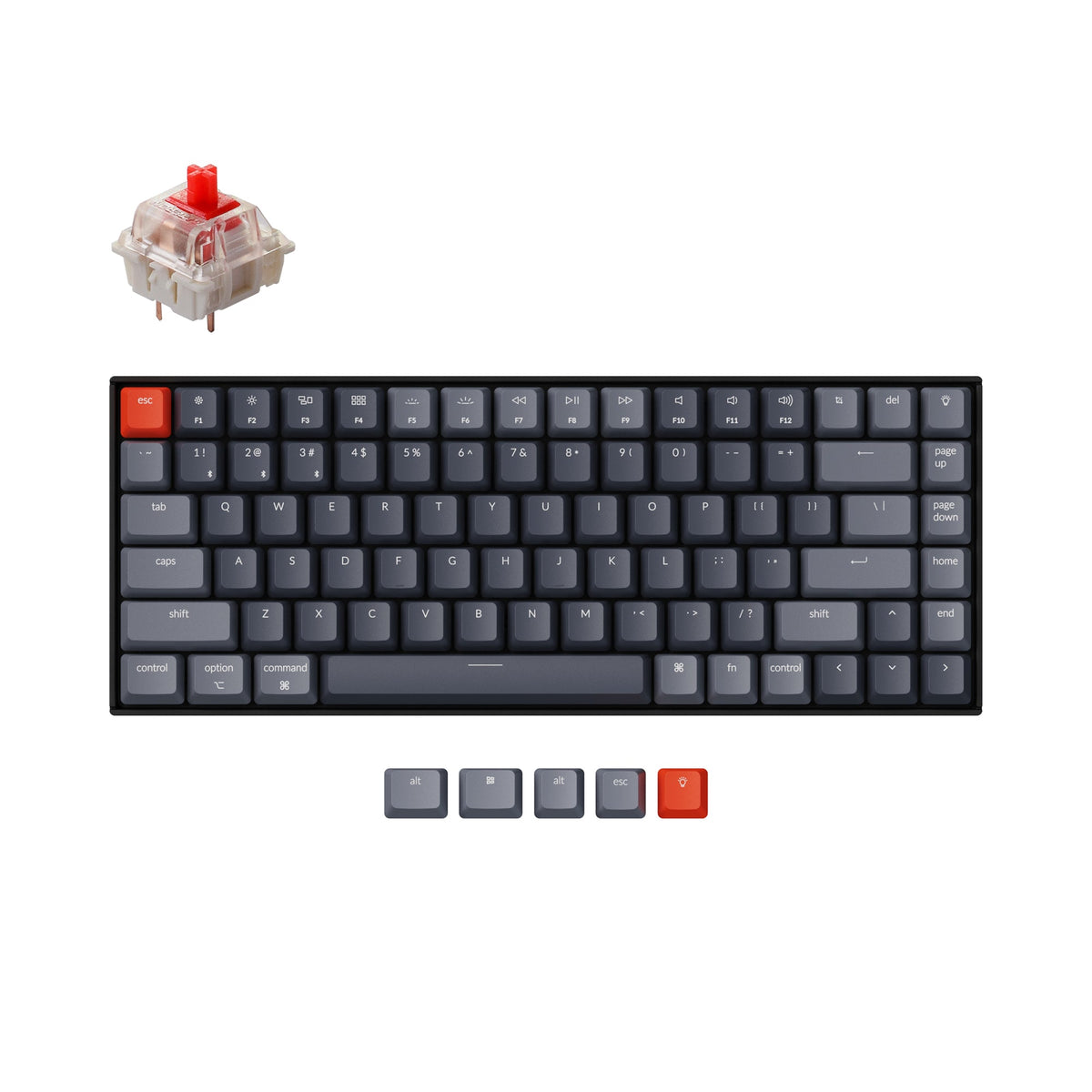Normal Profile Keyboards – keychron Austria